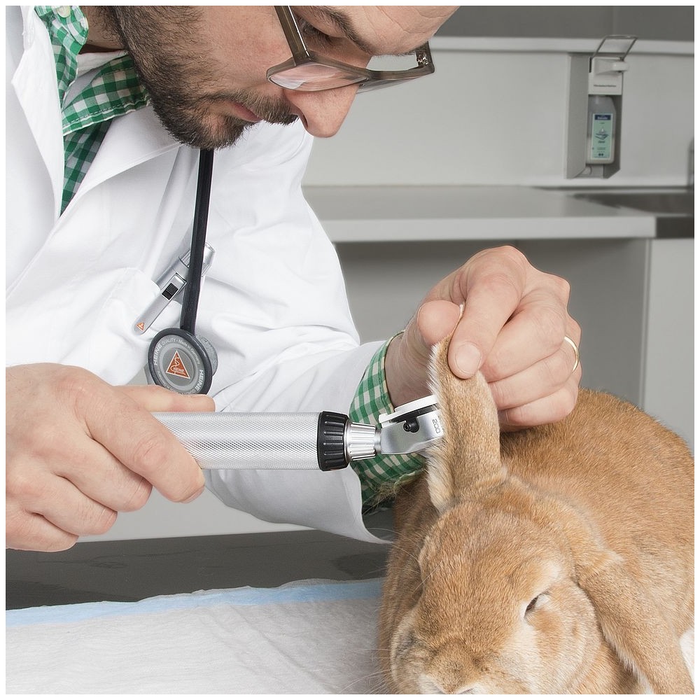 HEINE BETA 200 VET LED Veterinary Otoscope with table charger